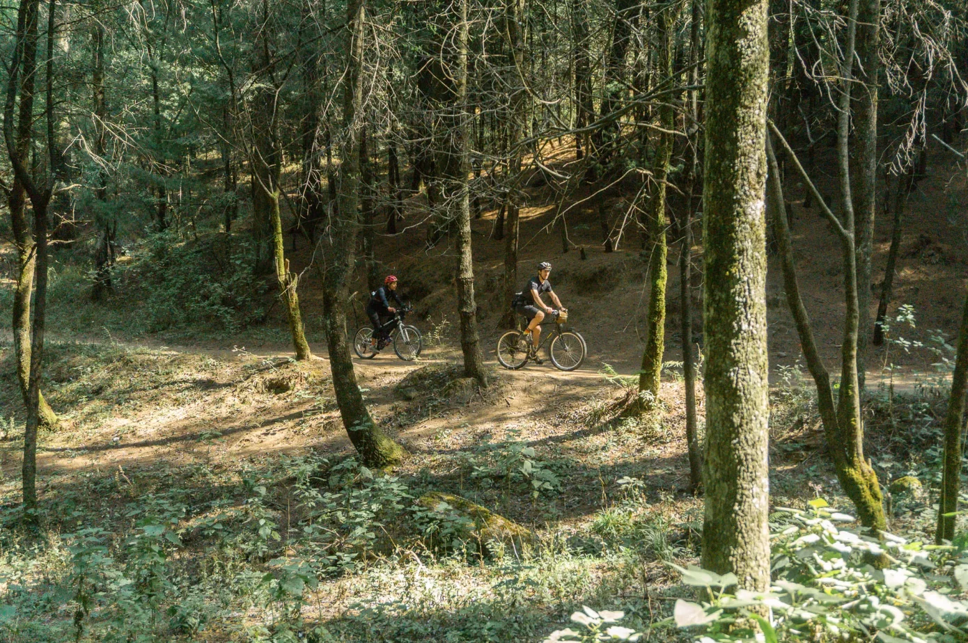 Rutas ciclistas en CDMX y EDOMEX: - ComprarCasaMX